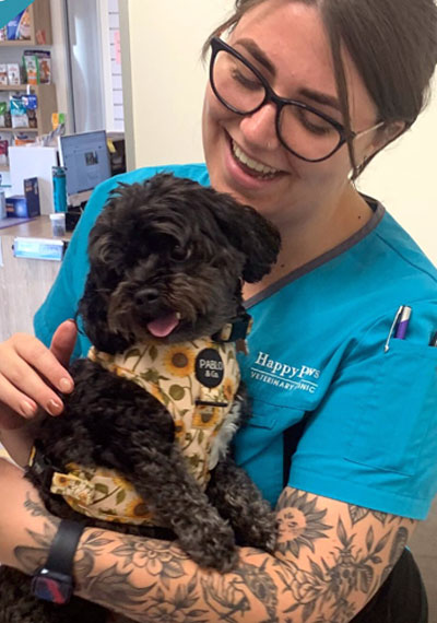 Thorough & Friendly Vet Consultations at Happy Paws