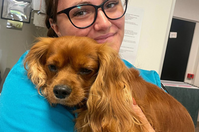 Routine and Elective Surgery at Happy Paws Veterinary Clinic