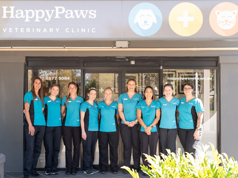 Careers - Happy Paws Veterinary Clinic
